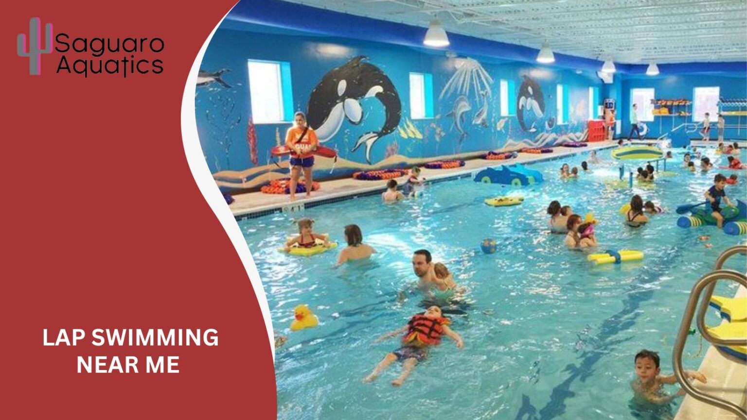 What is Treading Water in Swimming | Marina Pool Swim Lessons